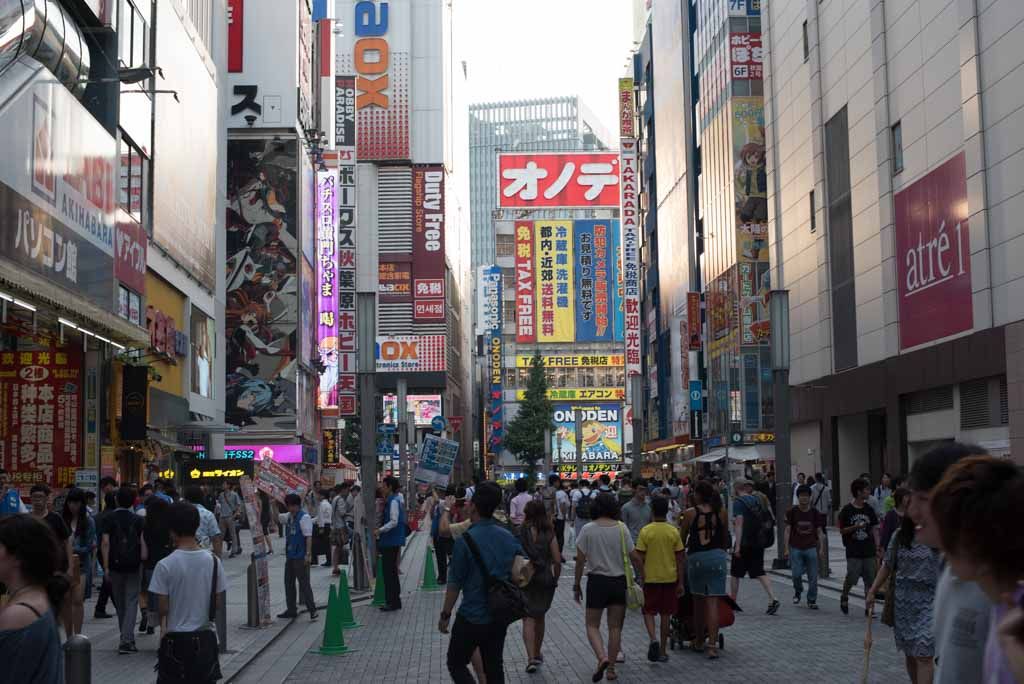 Shibuya and Akihabara