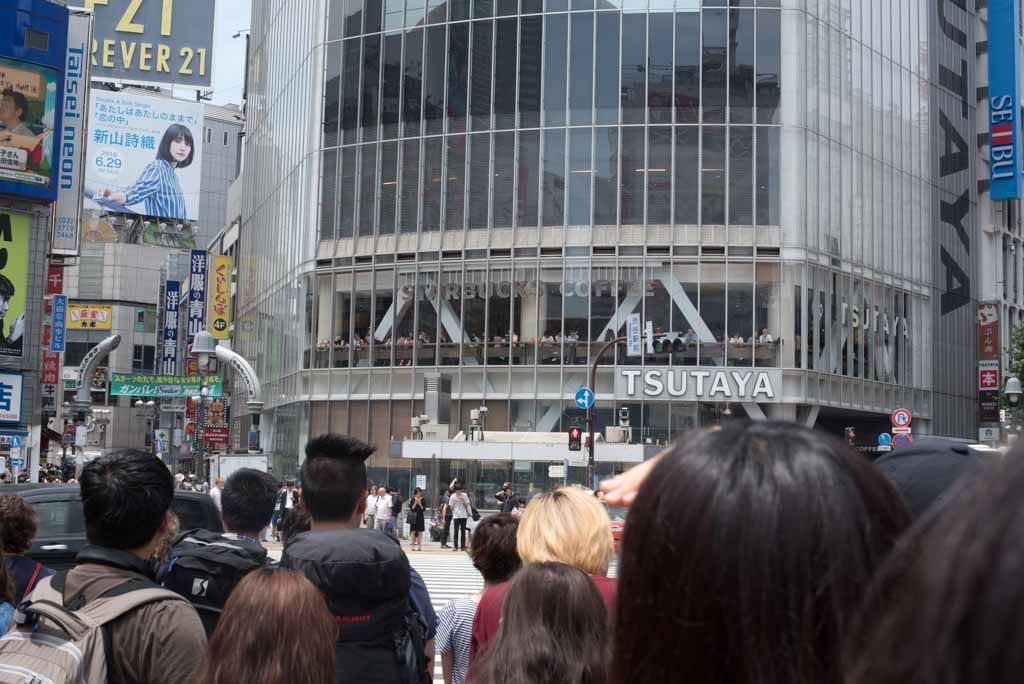 Shibuya and Akihabara
